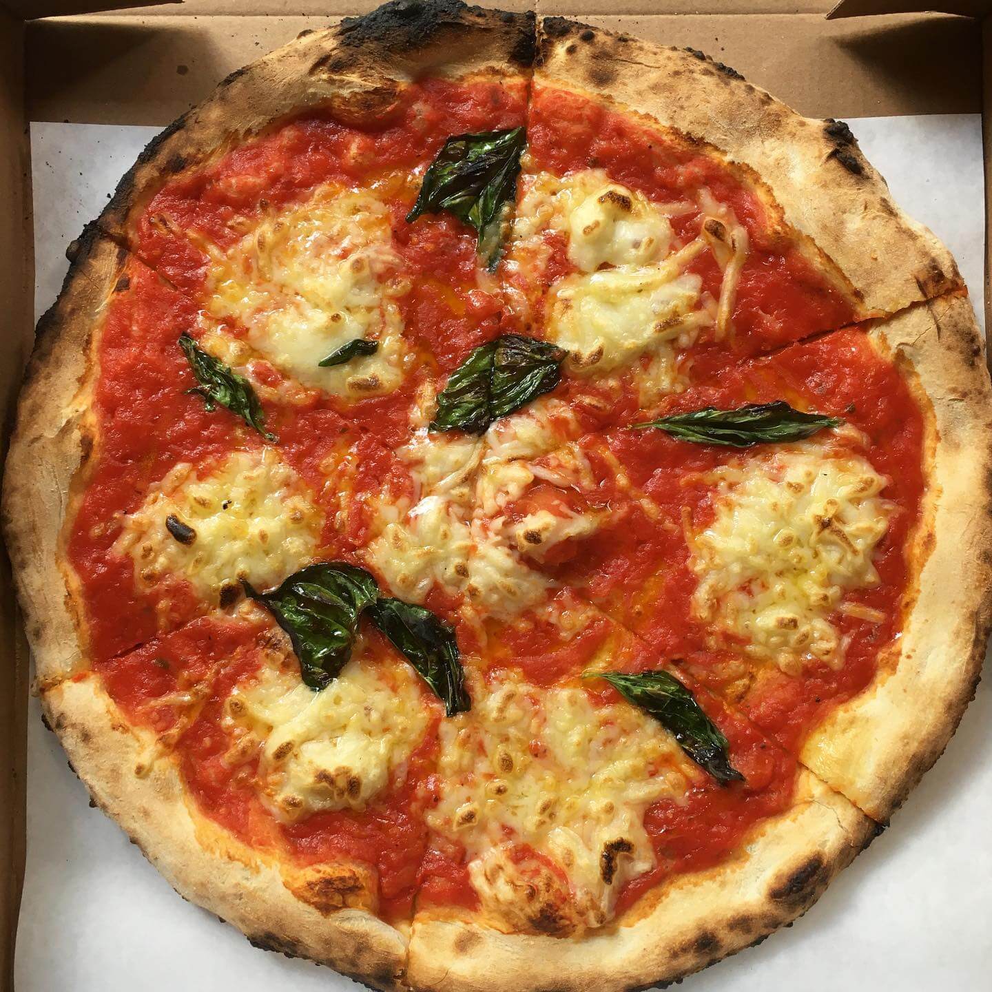 Pleese Cheese - Explore The Plant-Powered World