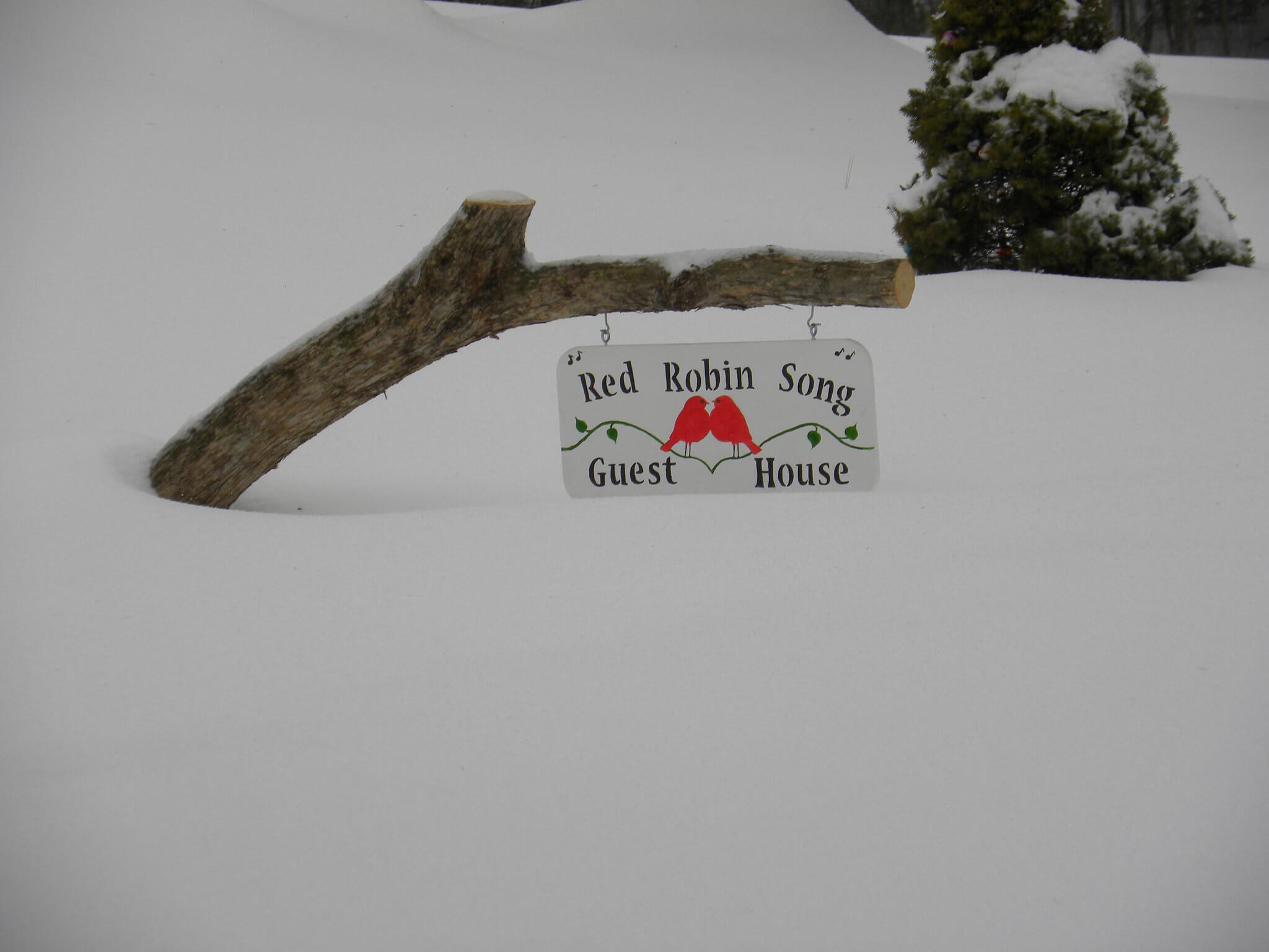 Red Robin Song Guest House - Explore The Plant-Powered World