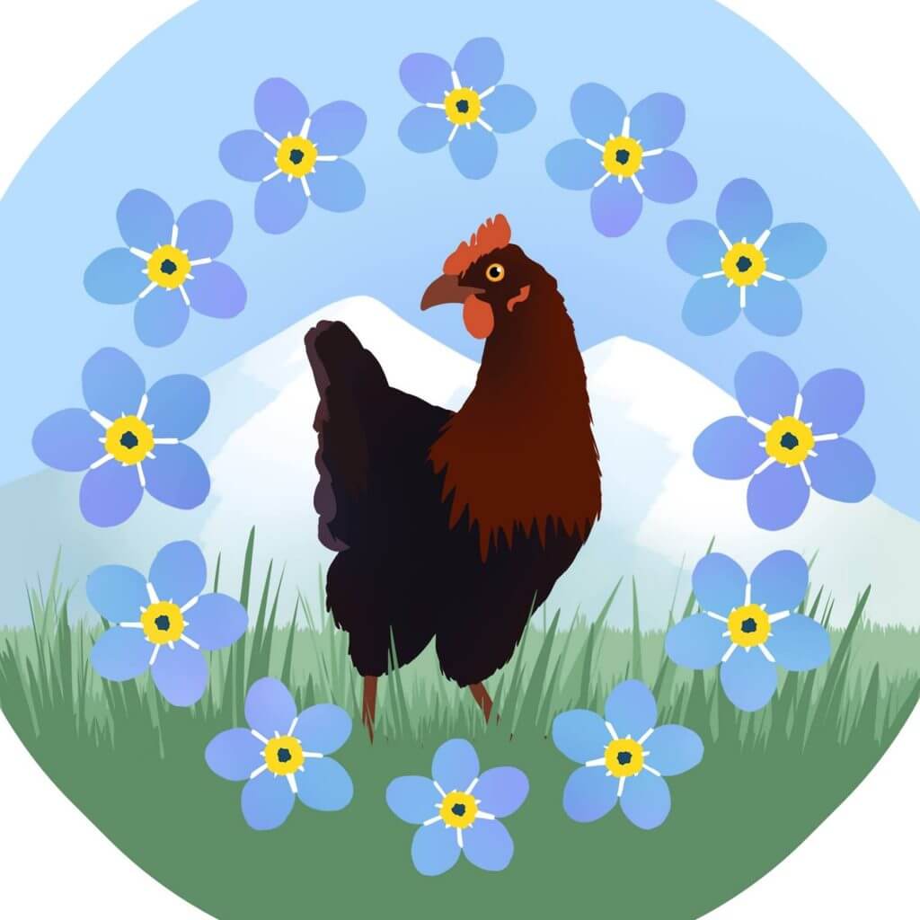 Forget Me Not Farm Sanctuary - Explore The Plant-Powered World