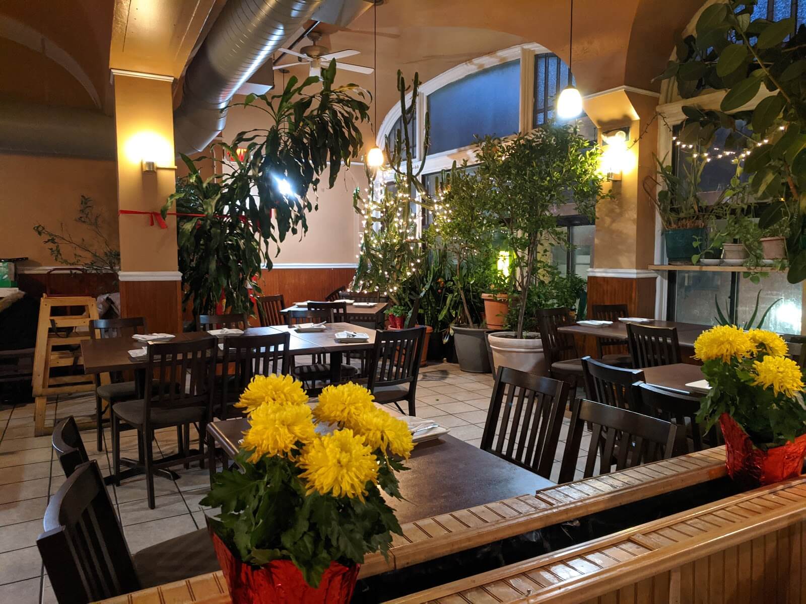 My Thai Vegan Cafe - Explore The Plant-Powered World