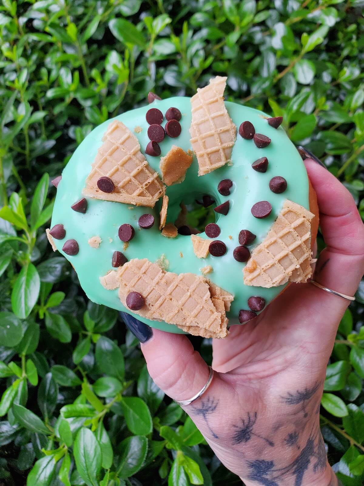 Doe Donuts - Explore The Plant-Powered World