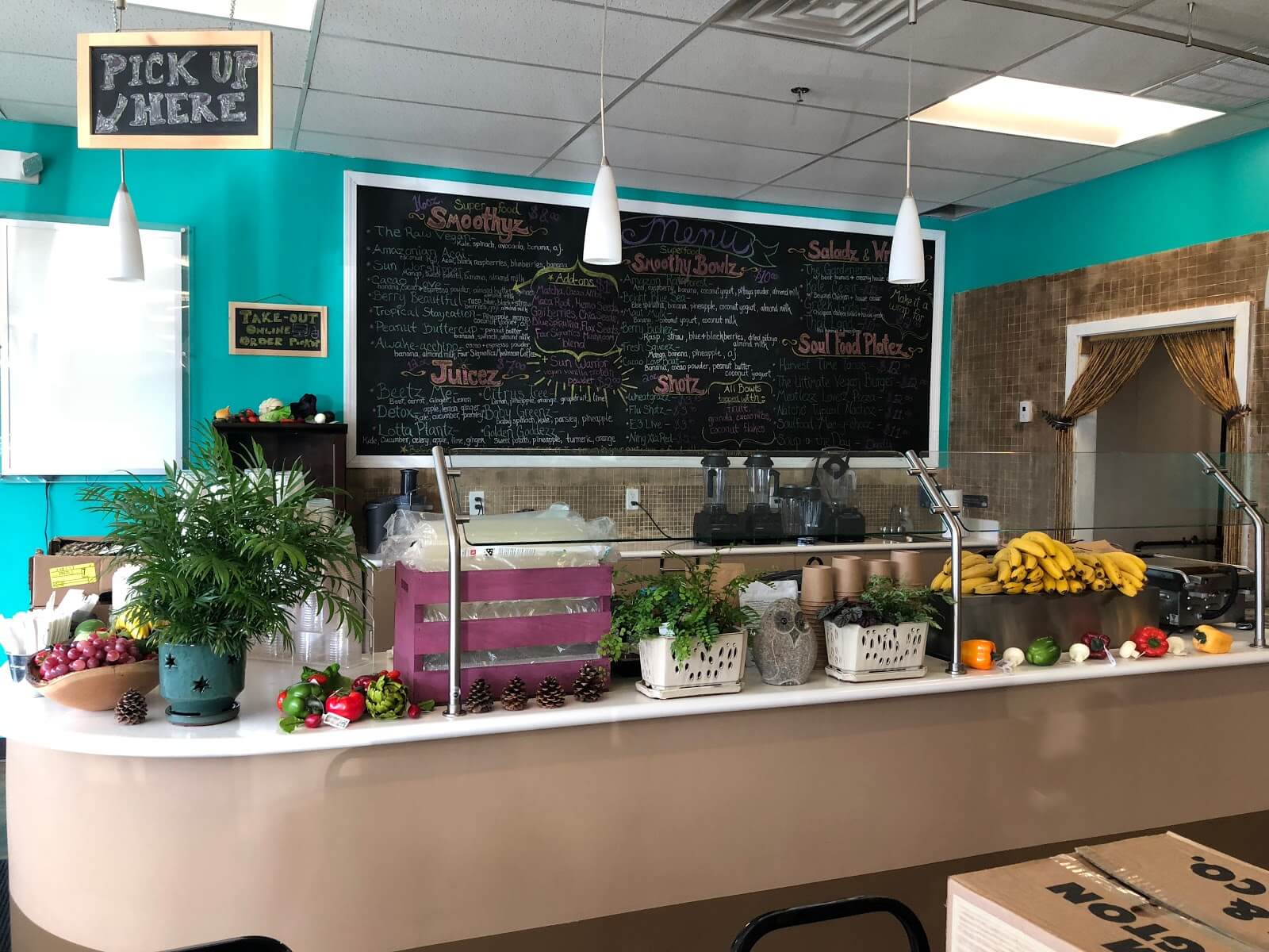 Plantz Café - Explore The Plant-Powered World