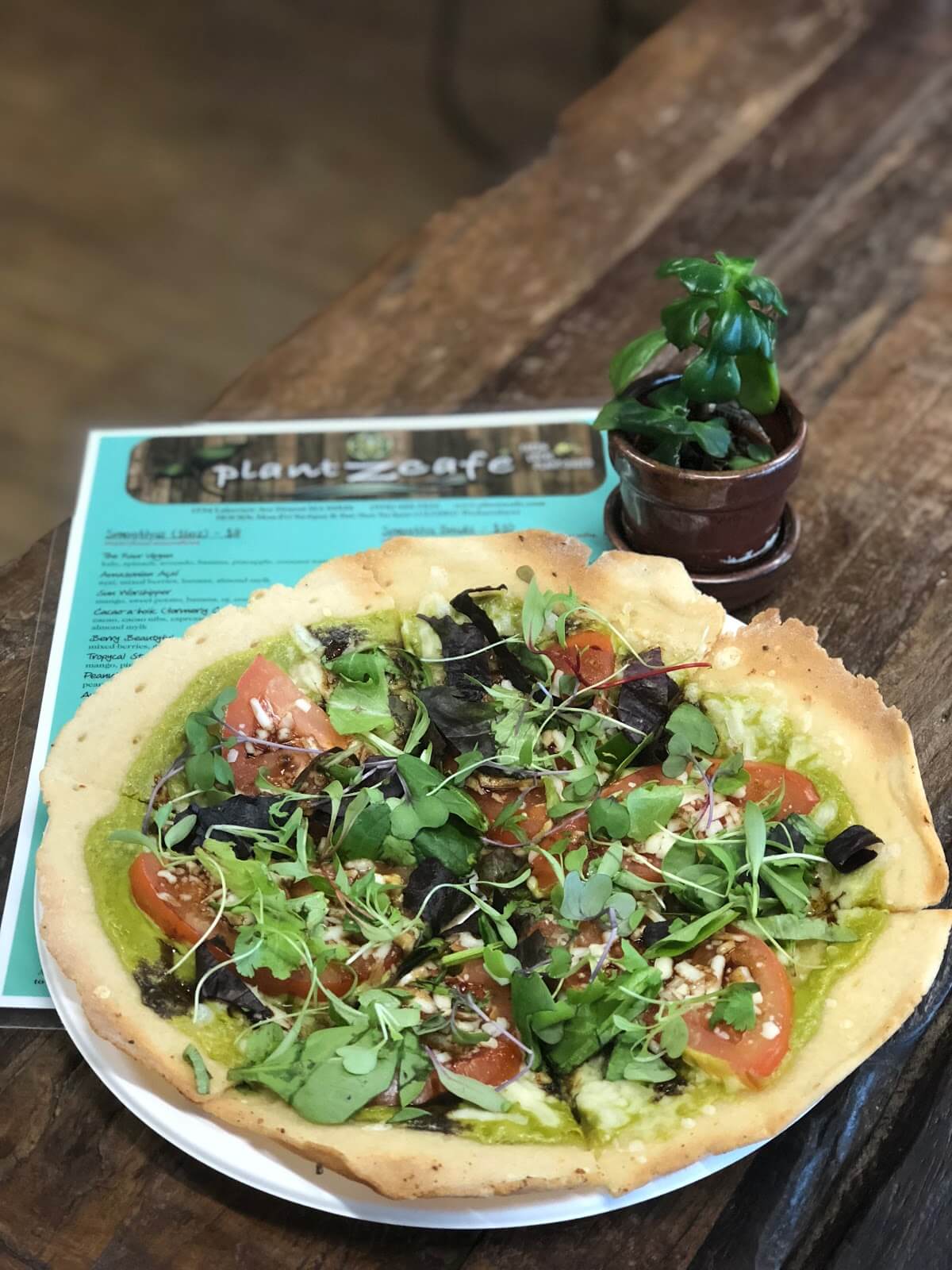 Plantz Café - Explore The Plant-Powered World