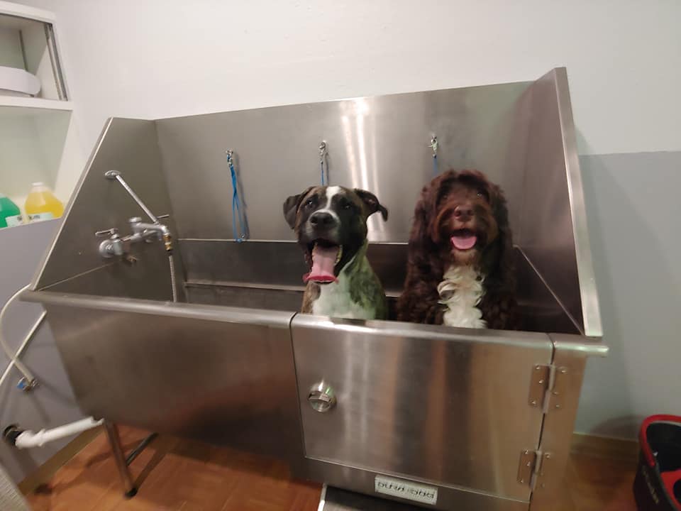 One Love Pet Parlor - Explore The Plant-Powered World