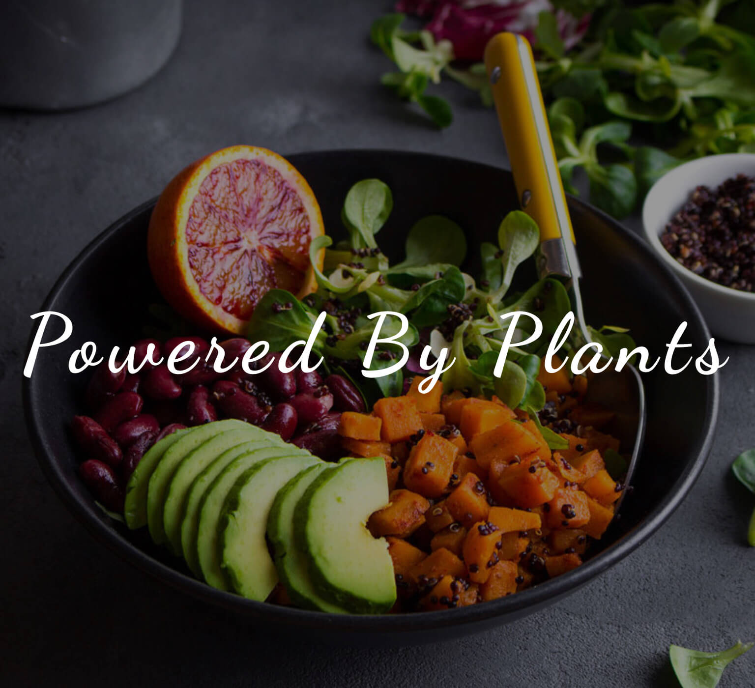 Green Box Kitchen - Explore The Plant-Powered World