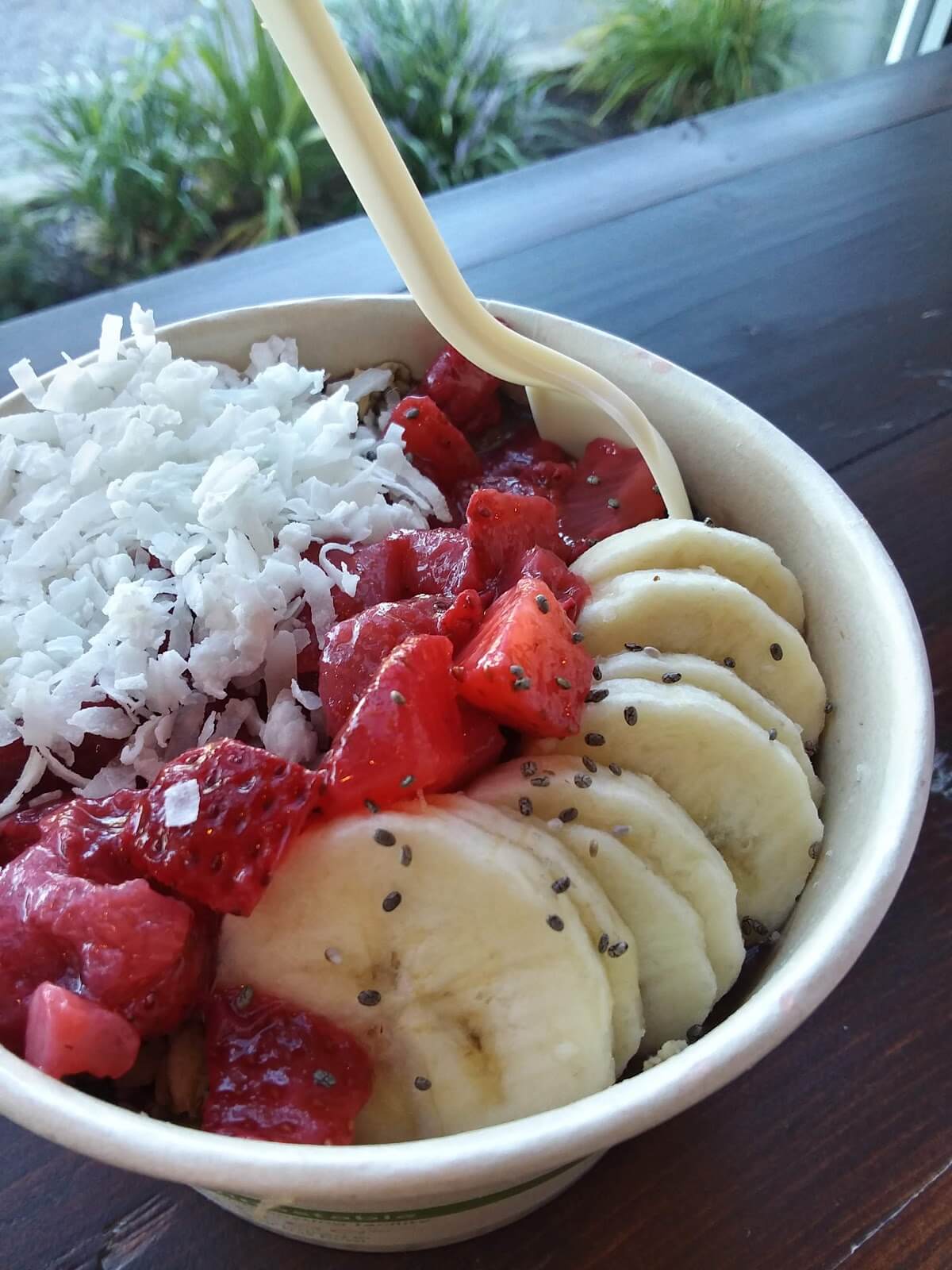 Tree of Life Juice - Explore The Plant-Powered World