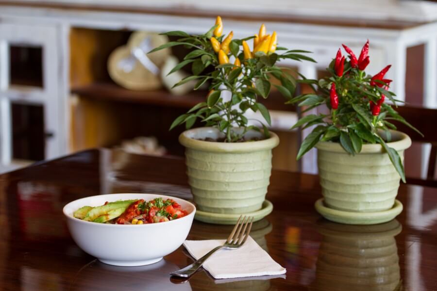 GreenFare Organic Cafe - Explore The Plant-Powered World
