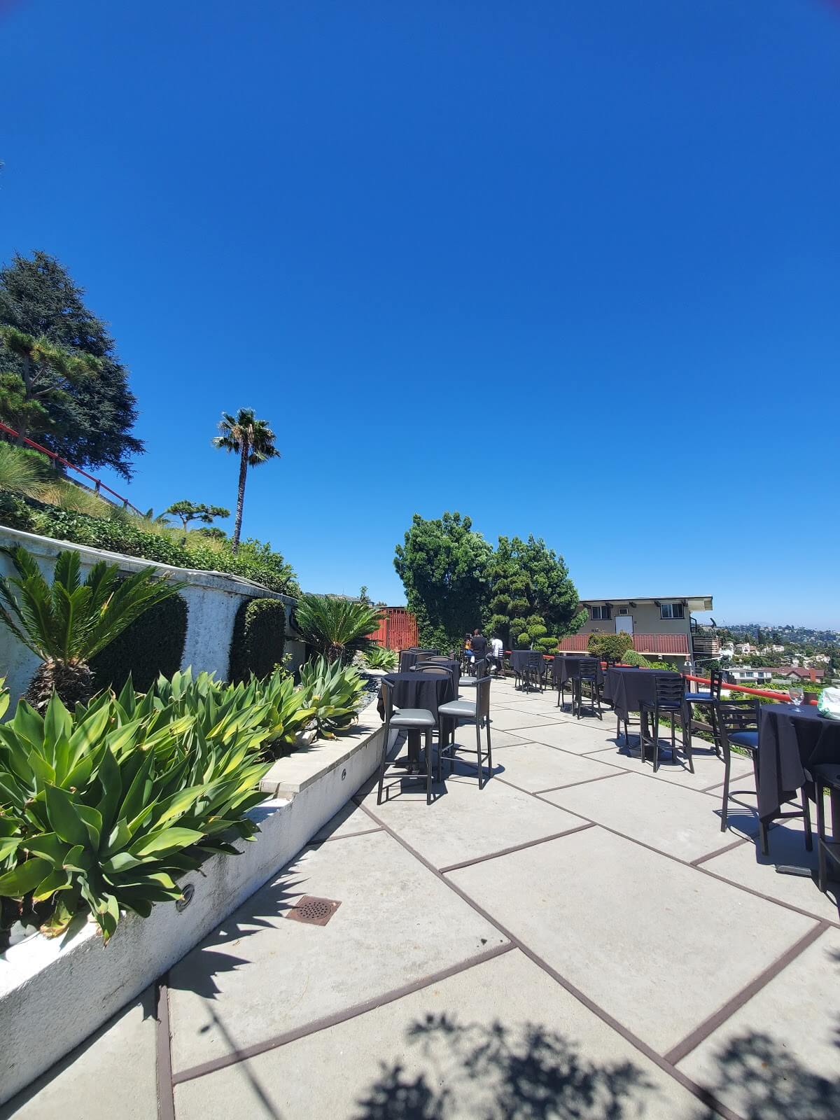 The VTree - Explore The Plant-Powered World