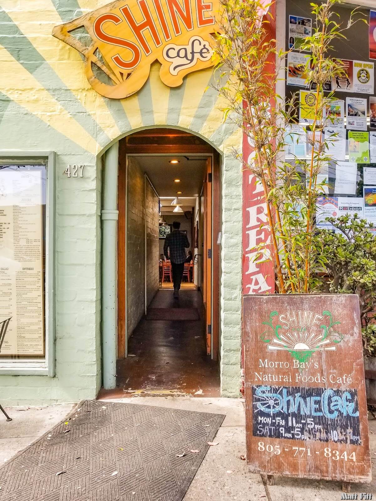 Shine Cafe - Explore The Plant-Powered World