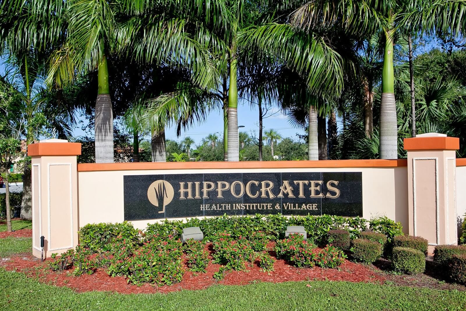 Hippocrates Health Institute - Explore The Plant-Powered World