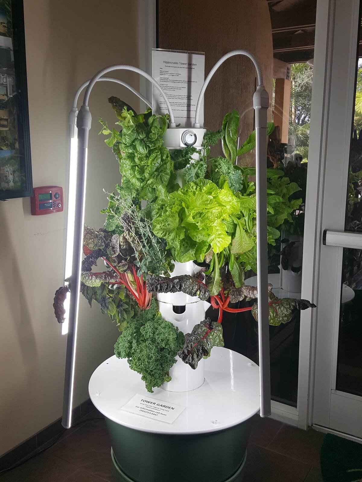 Hippocrates Health Institute - Explore The Plant-Powered World