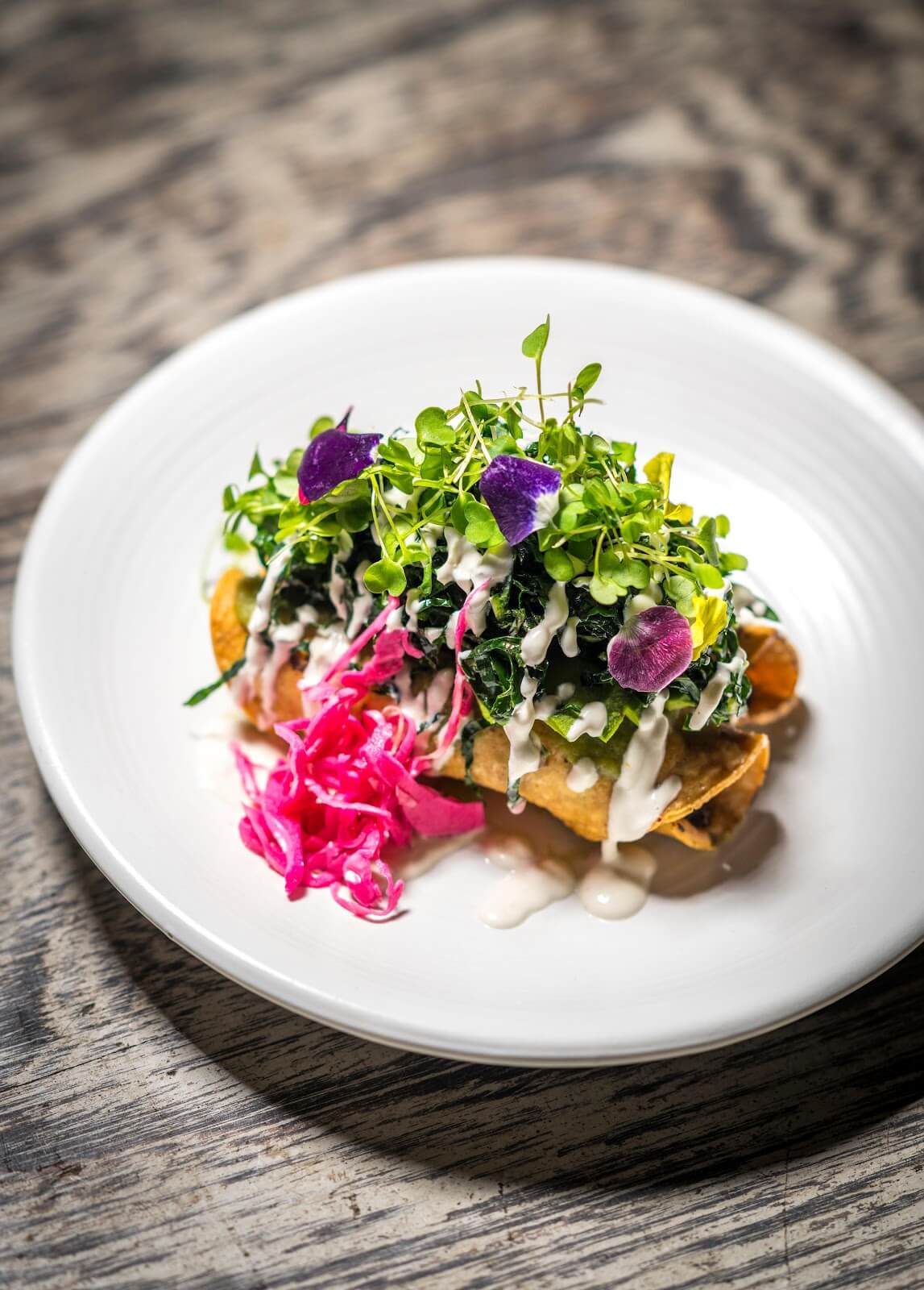 Bar Verde - Explore The Plant-Powered World