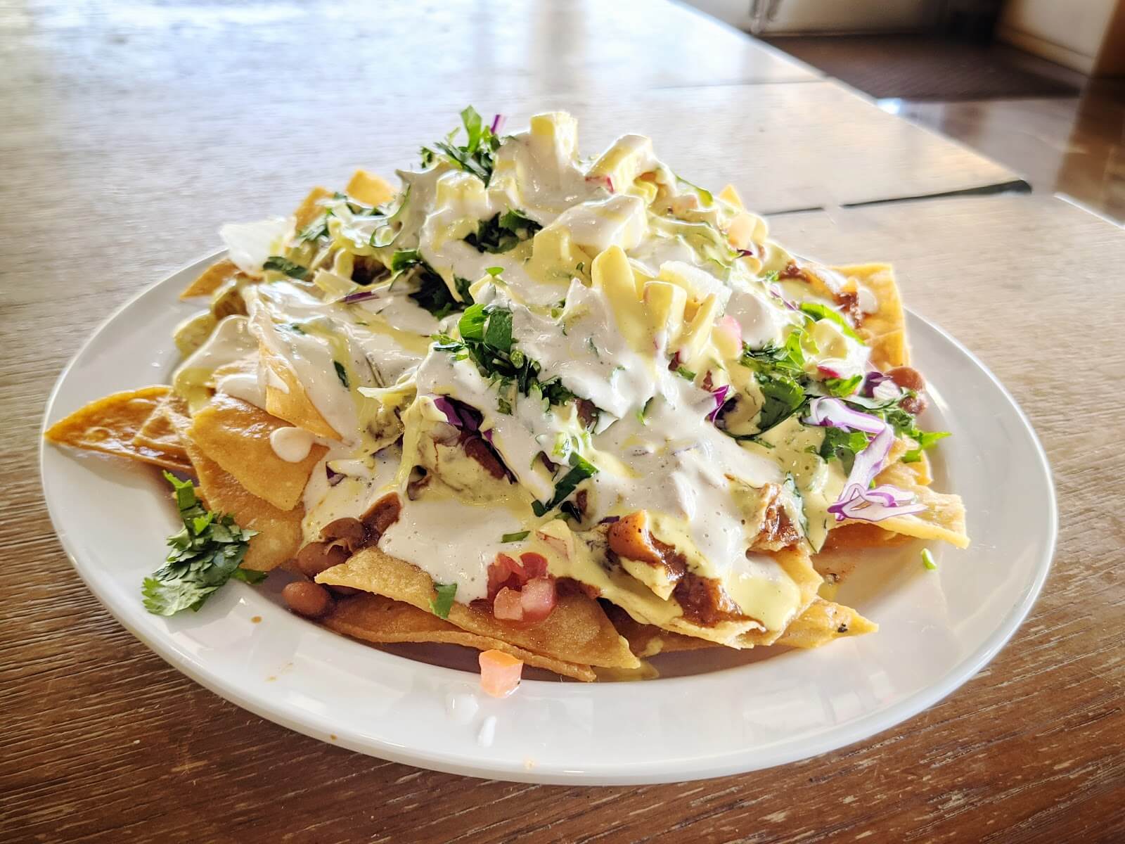 Veegos - Explore The Plant-Powered World