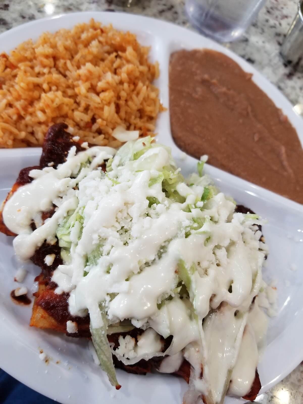 Veegos - Explore The Plant-Powered World