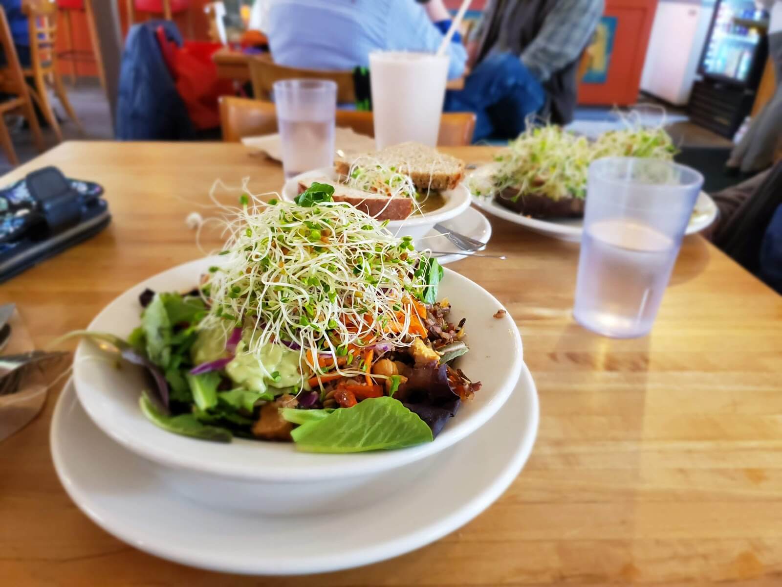 Cafe Evolution - Explore The Plant-Powered World