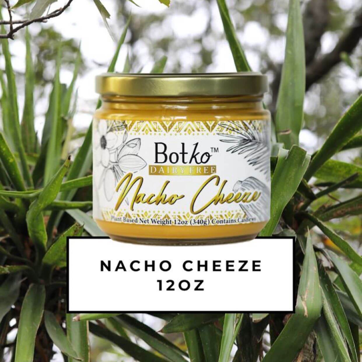 Botko - Explore The Plant-Powered World