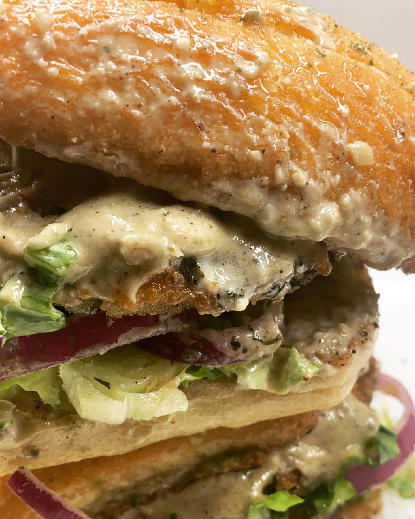 Plant Based Papi - Explore The Plant-Powered World