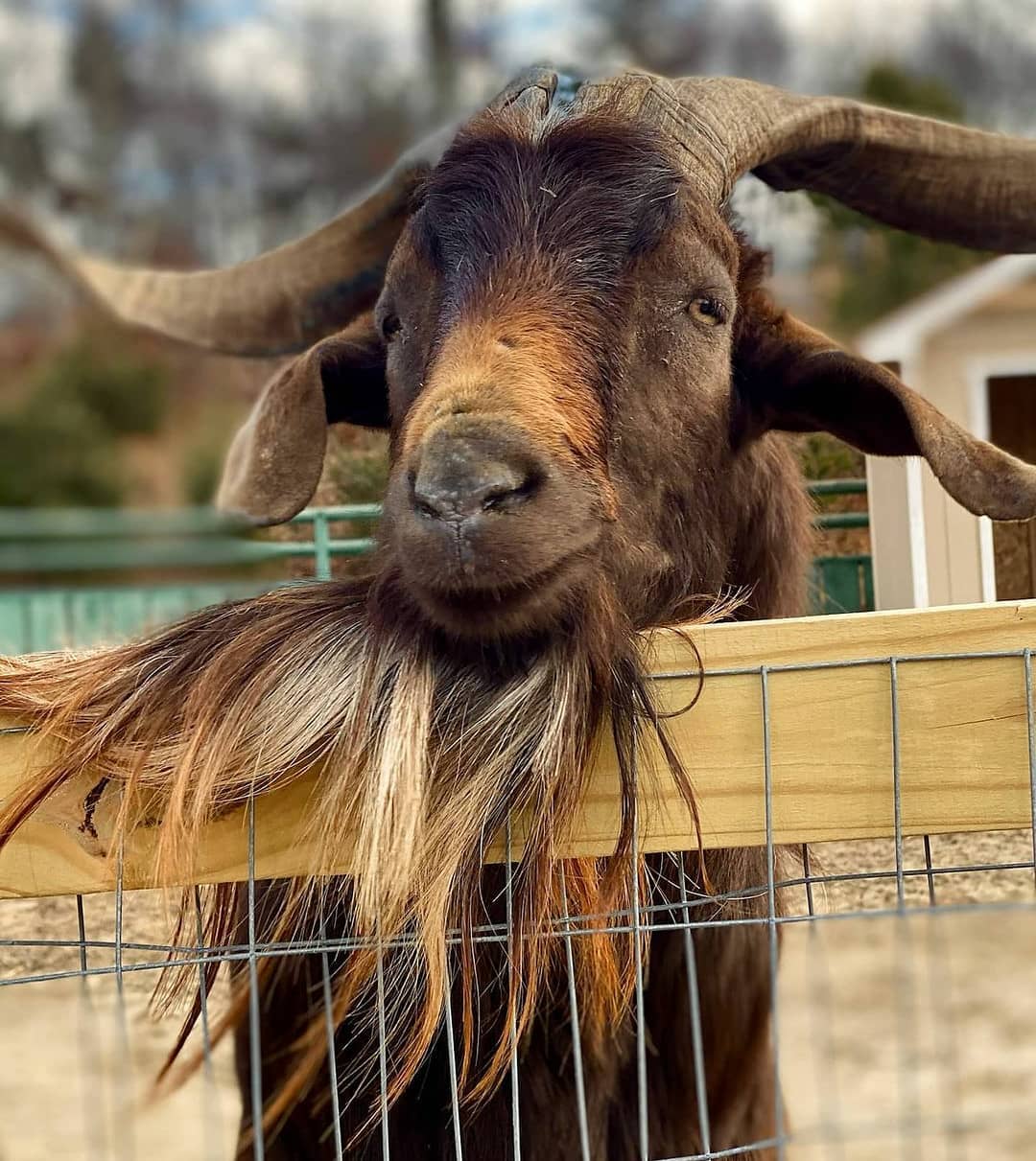 The Riley Farm Rescue - Explore The Plant-Powered World