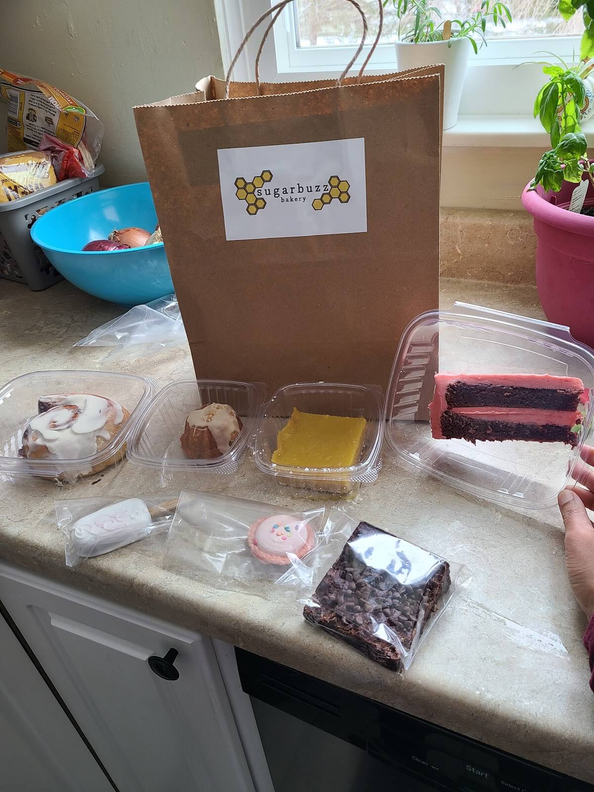 SugarBuzz Bakery - Explore The Plant-Powered World