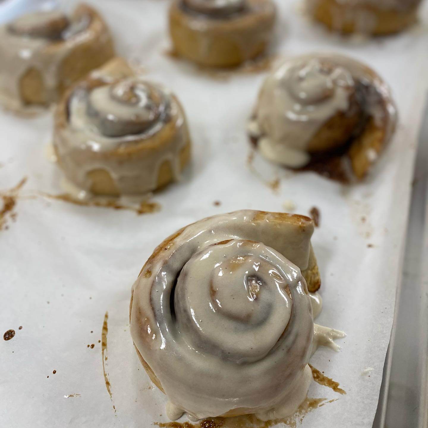 SugarBuzz Bakery - Explore The Plant-Powered World