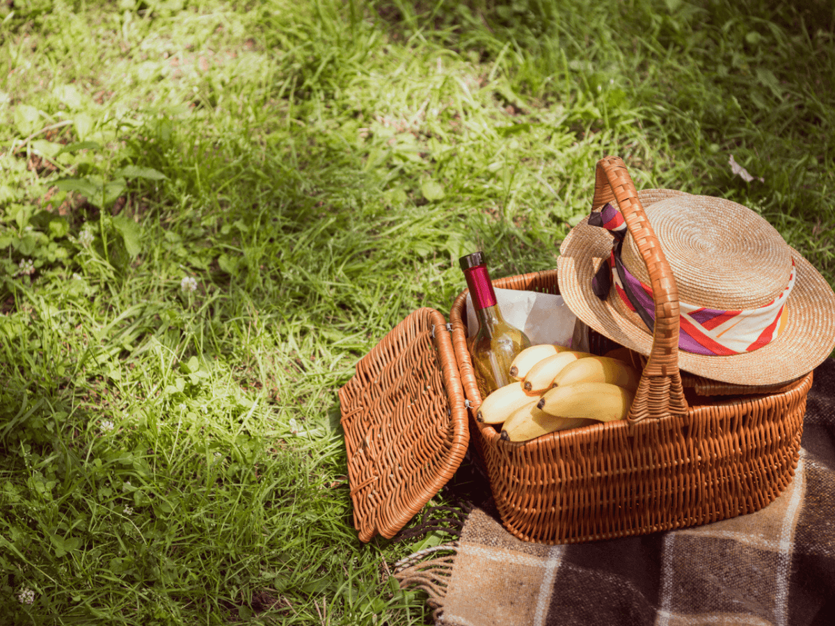 How to Throw an Epic Vegan Picnic - Vkind