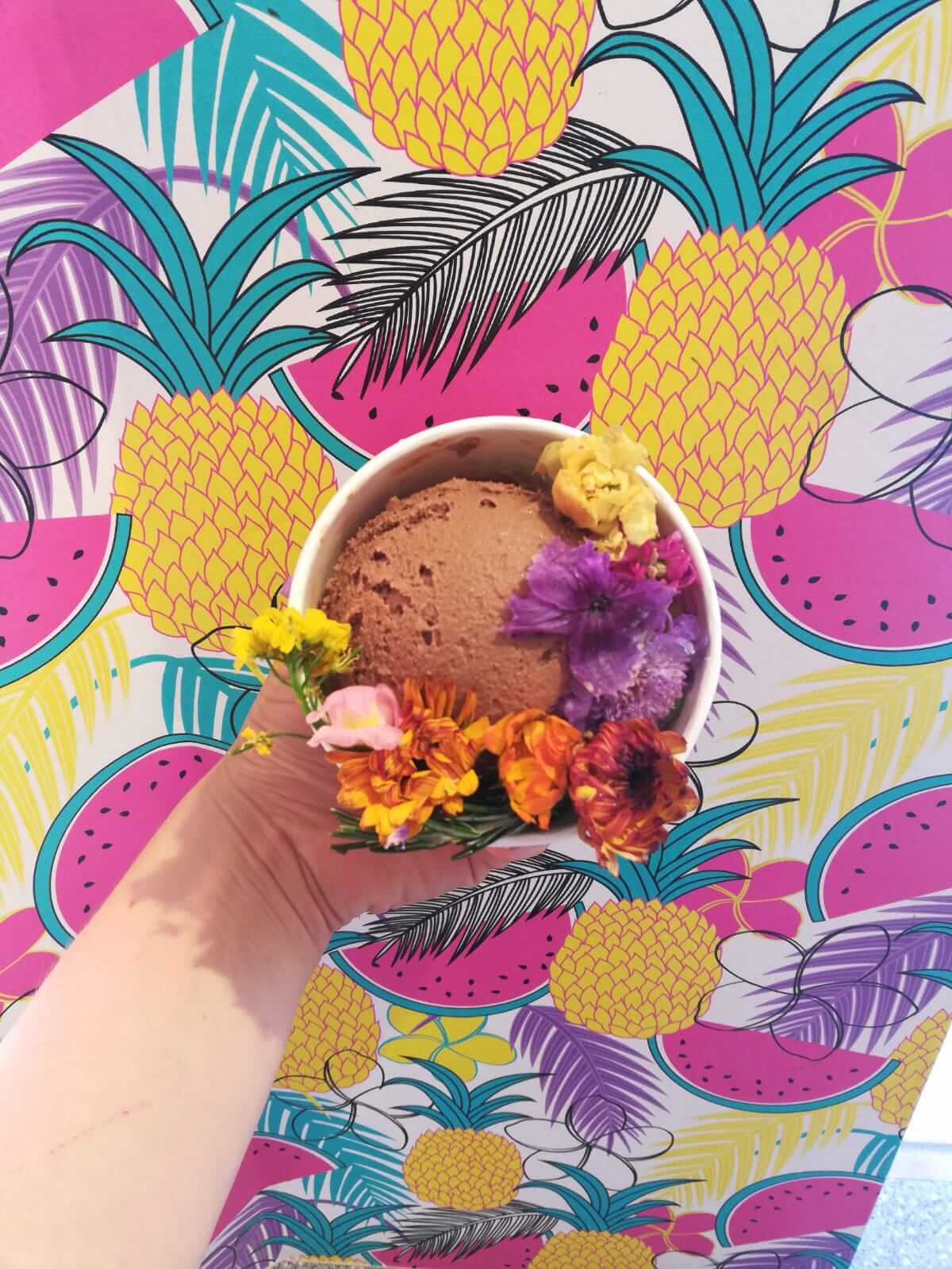 Frozen Fruit Co - Explore The Plant-Powered World