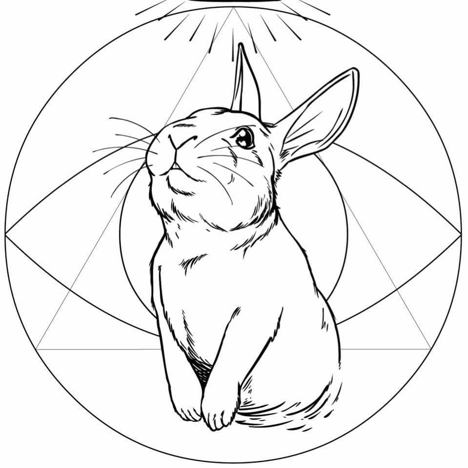 Rabbits Cafe - Explore The Plant-Powered World