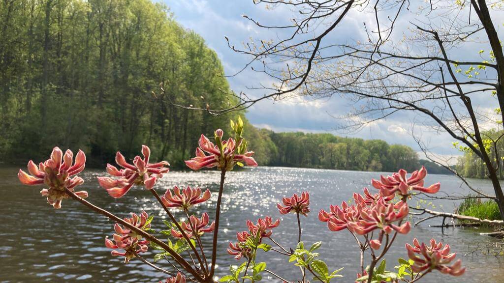 Vegan Trekkers Hike: Clopper Lake at Seneca Creek Park - Vkind