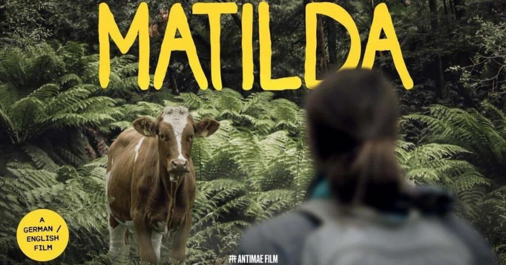 'Matilda' Inspires New View On Animal Treatment - Vkind