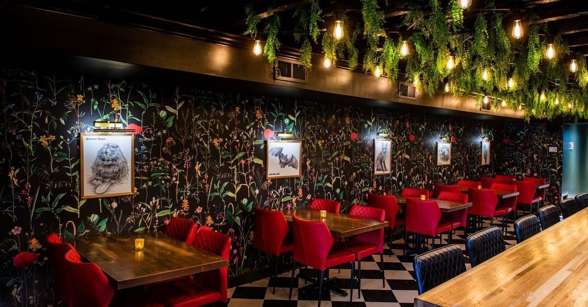 DC Gets Its Own Vegan Bar - Vkind