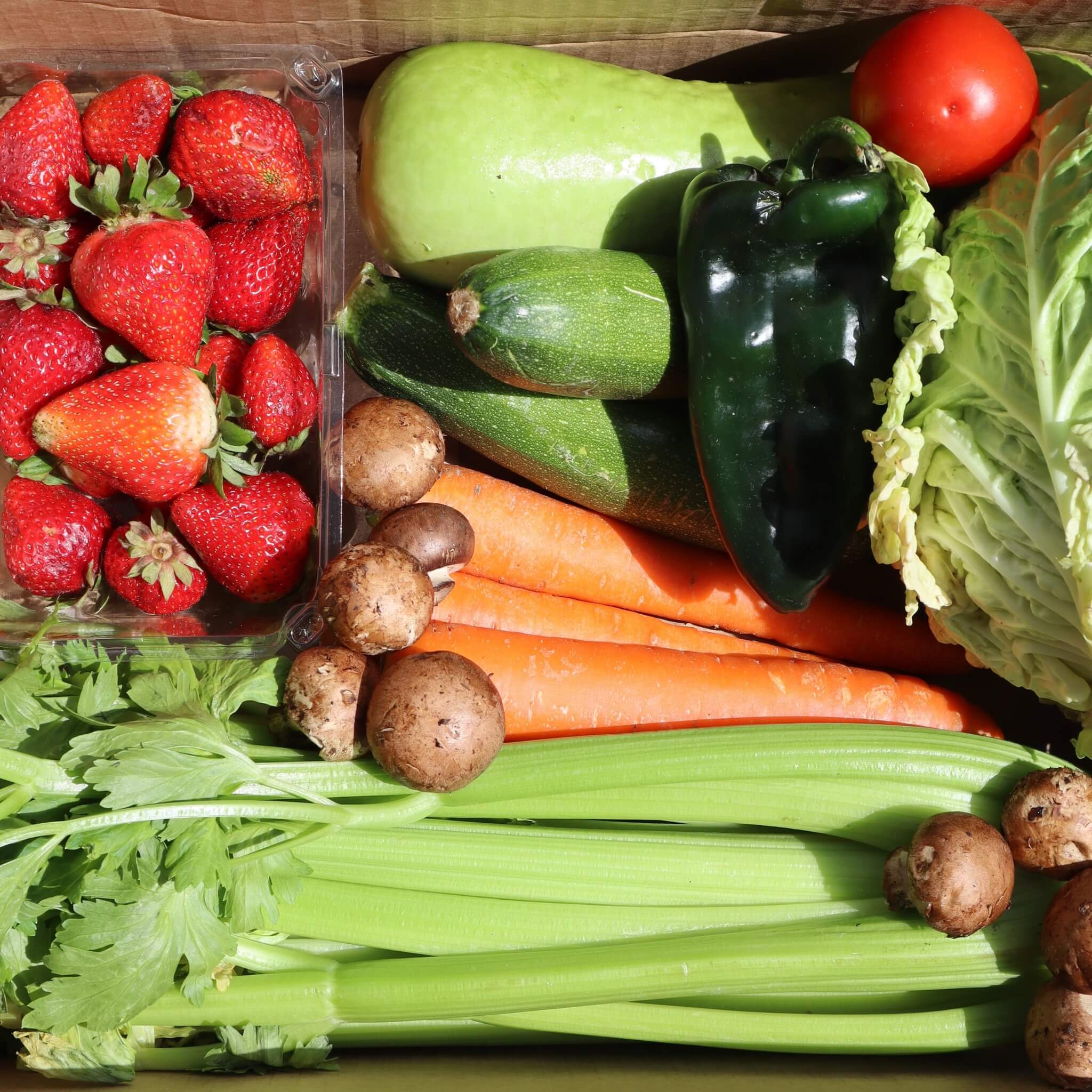 Peko Produce - Explore The Plant-Powered World