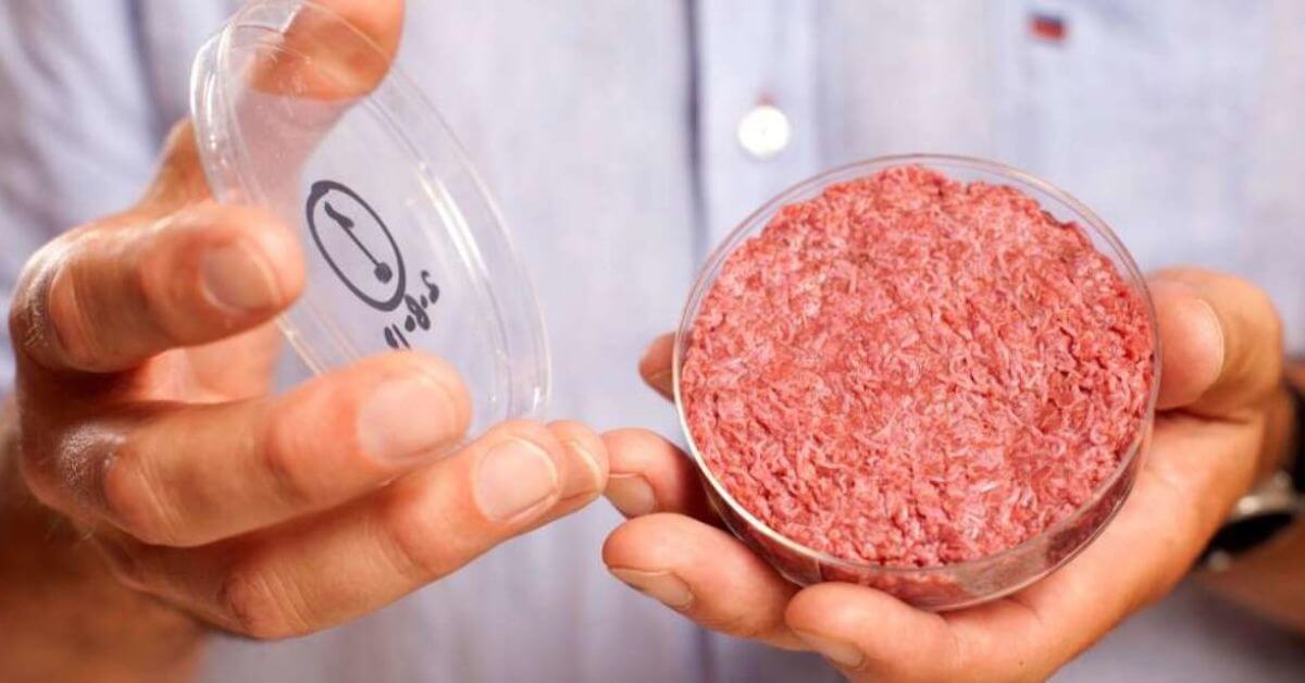 Food Tech & Alt Proteins Now National Priority in Israel - Vkind