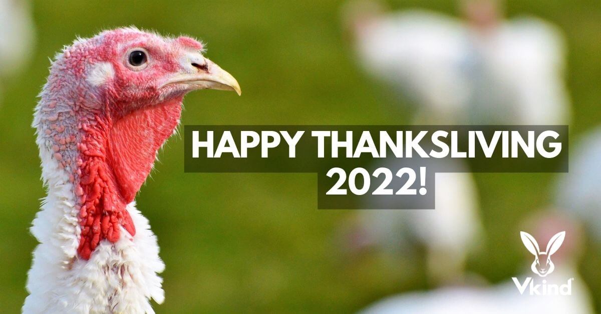 Happy ThanksLIVING 2022! - Vkind