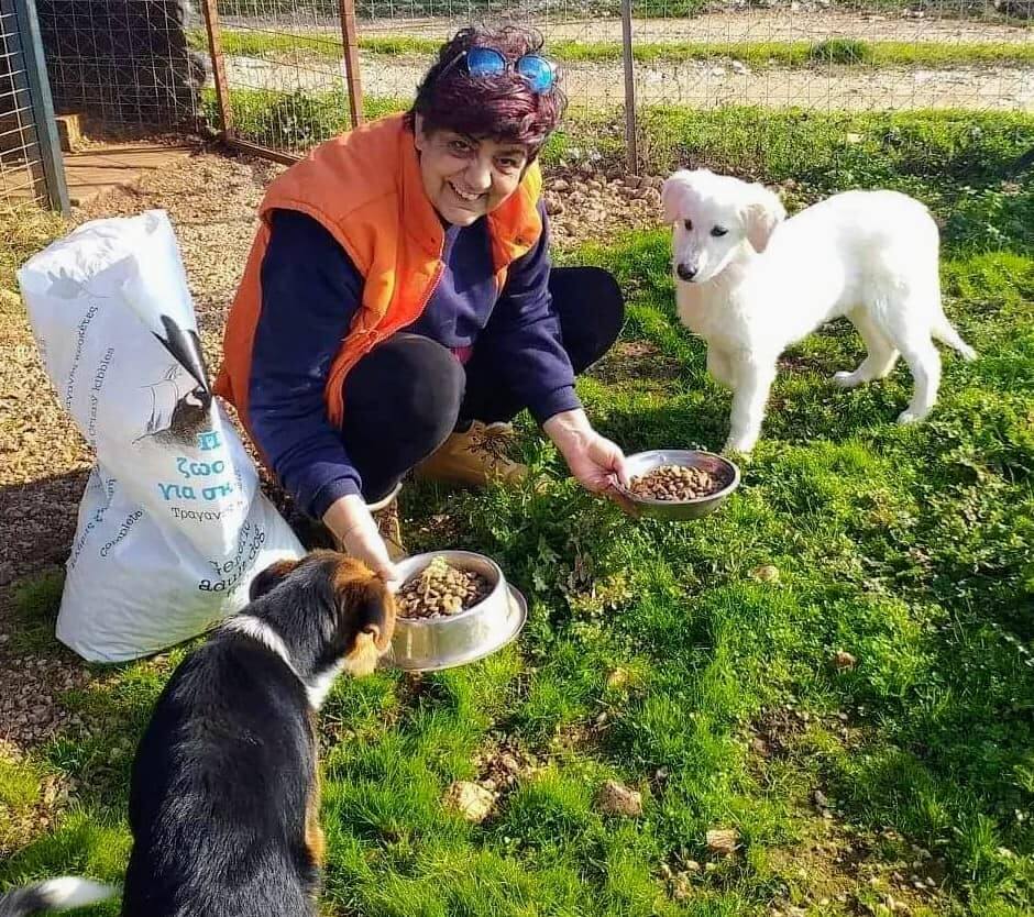 Greek Animal Rescue - Explore The Plant-Powered World