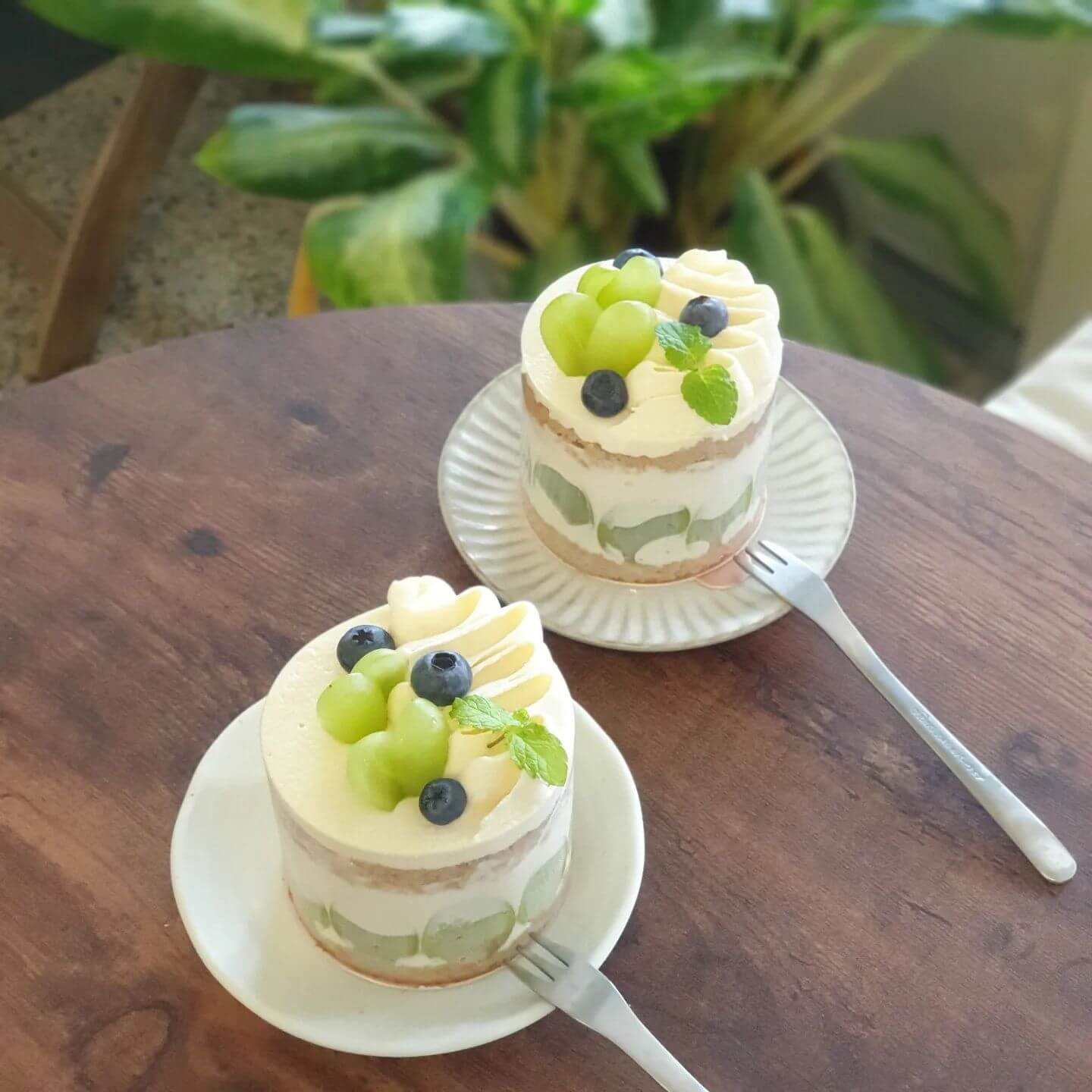 Plants Only Bakery - Explore The Plant-Powered World