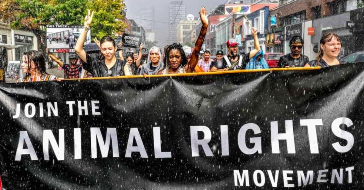 Why Don’t Animal Rights Activists Care About Humans? - Vkind