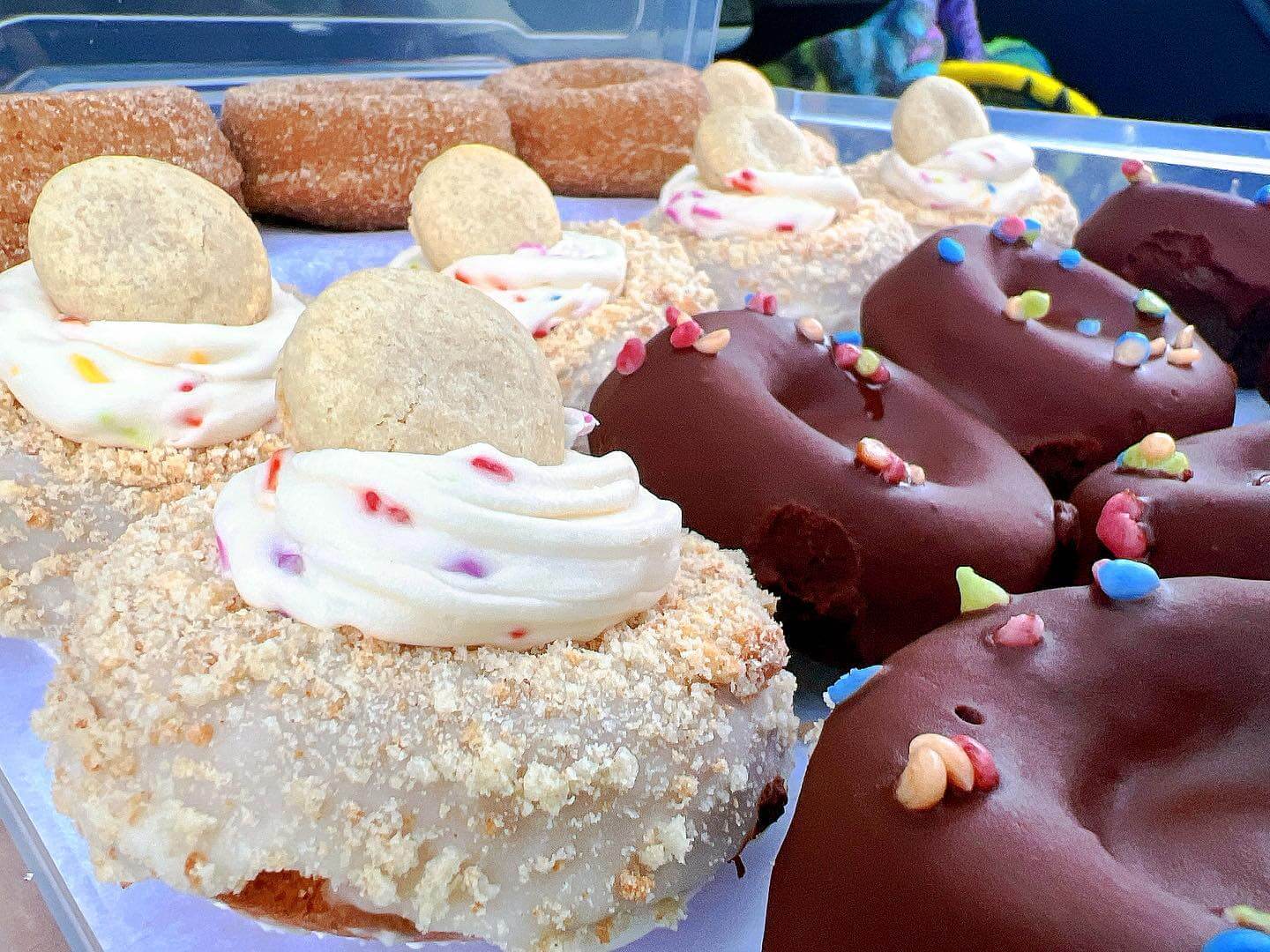 The Donut Shack - Explore The Plant-Powered World