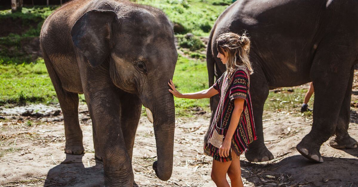 Be Kind to Animals Month - Vkind