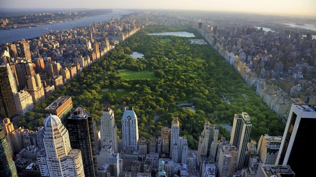 Central Park Vegan Night Market - Vkind