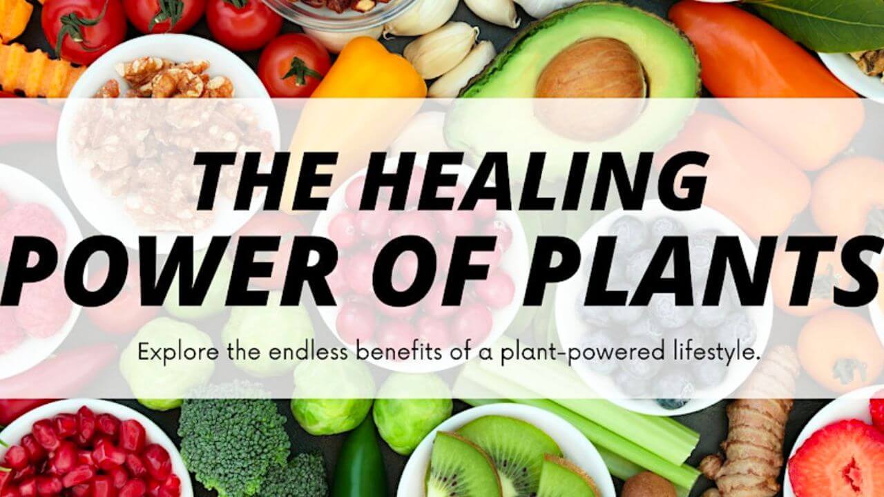 The Healing Power of Plants: Discovering Vegan Health Benefits - Vkind