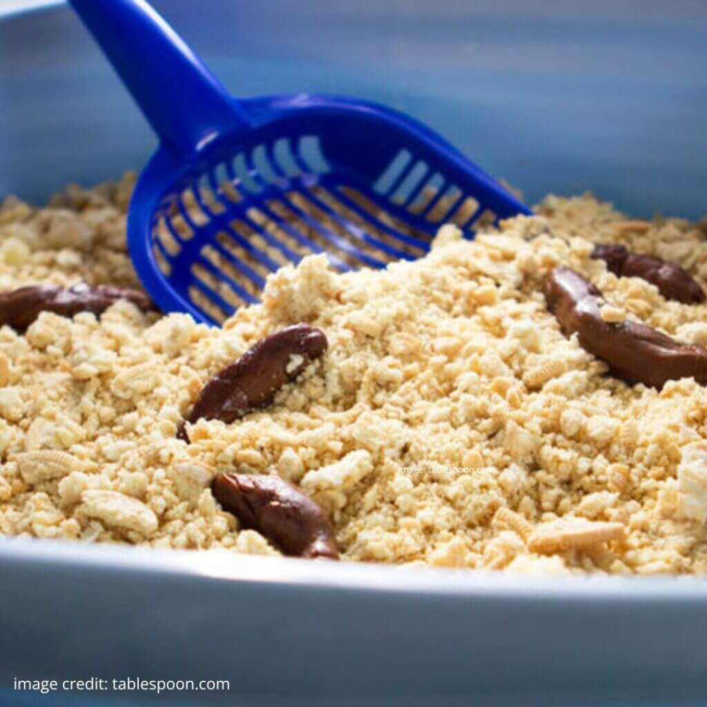 Vegan Kitty Litter Cake - Vkind