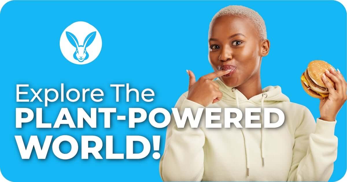 Joseph's Organic Bakery - Explore The Plant-Powered World