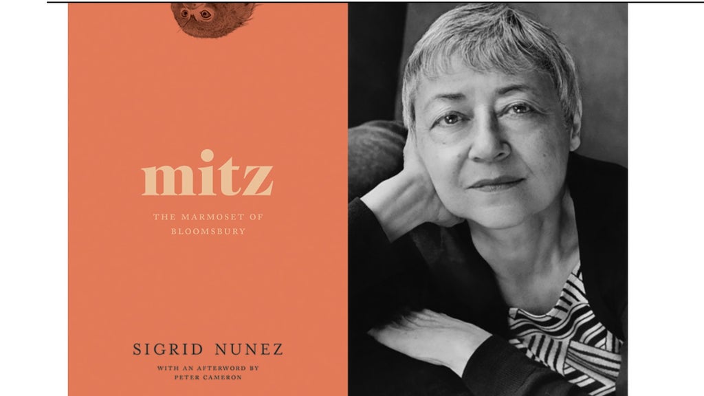 VSDC Book Club discusses “Mitz: The Marmoset of Bloomsbury” - Vkind