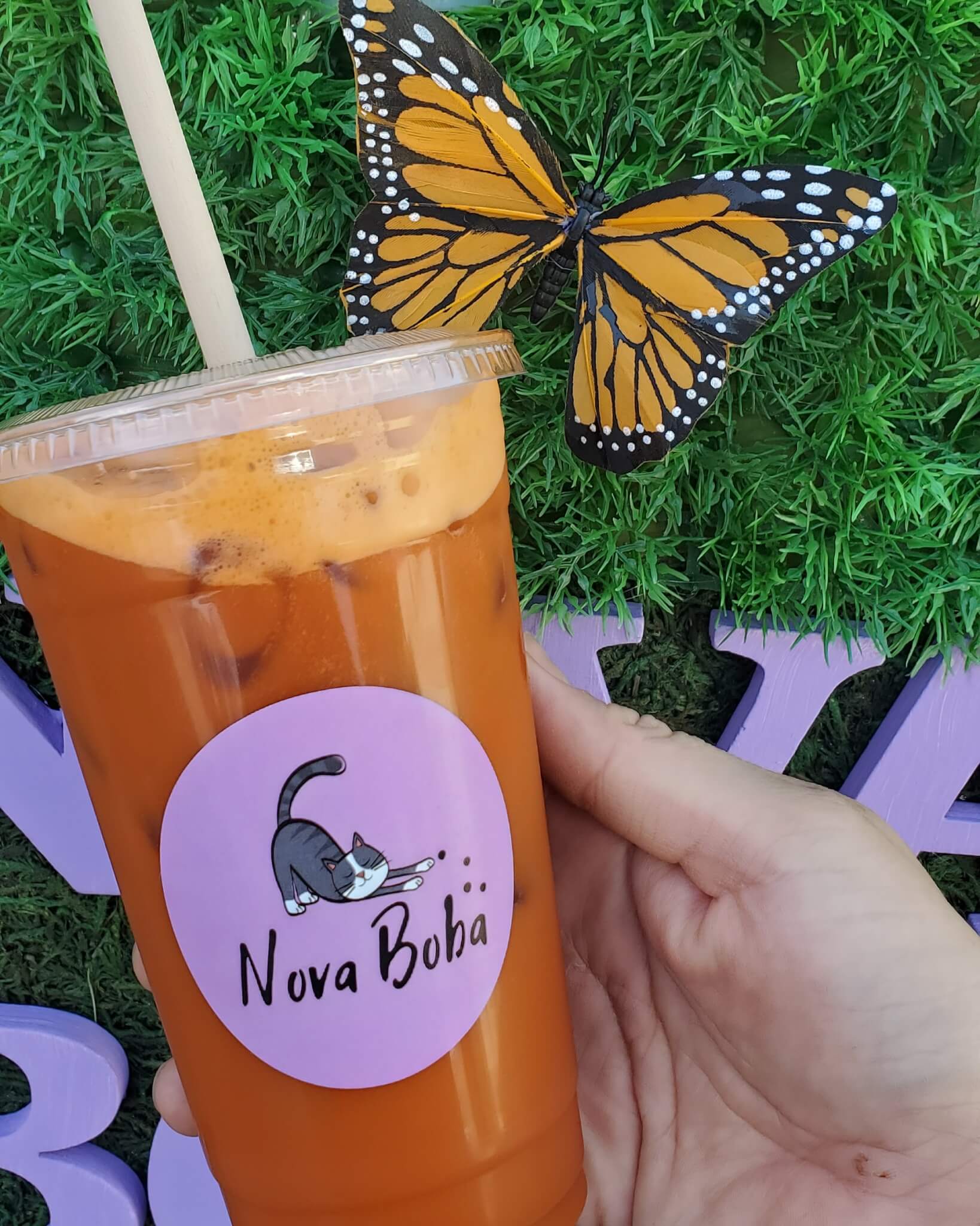 Nova Boba - Explore The Plant-Powered World