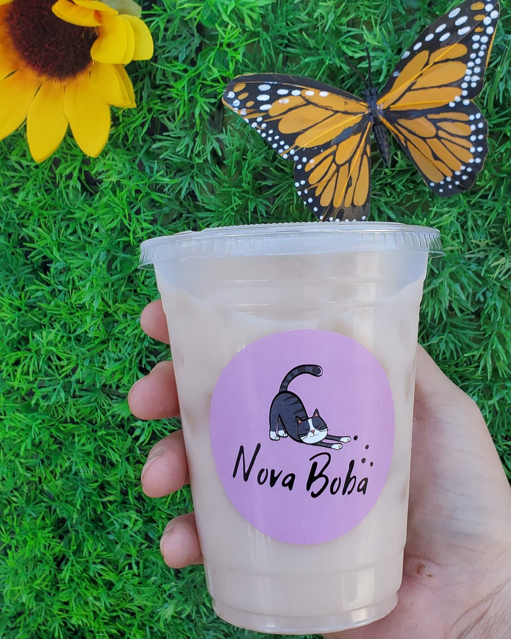 Nova Boba - Explore The Plant-Powered World