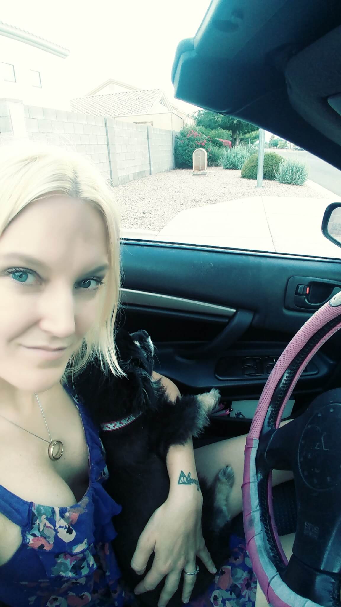 Amanda Webster Health - Explore The Plant-Powered World