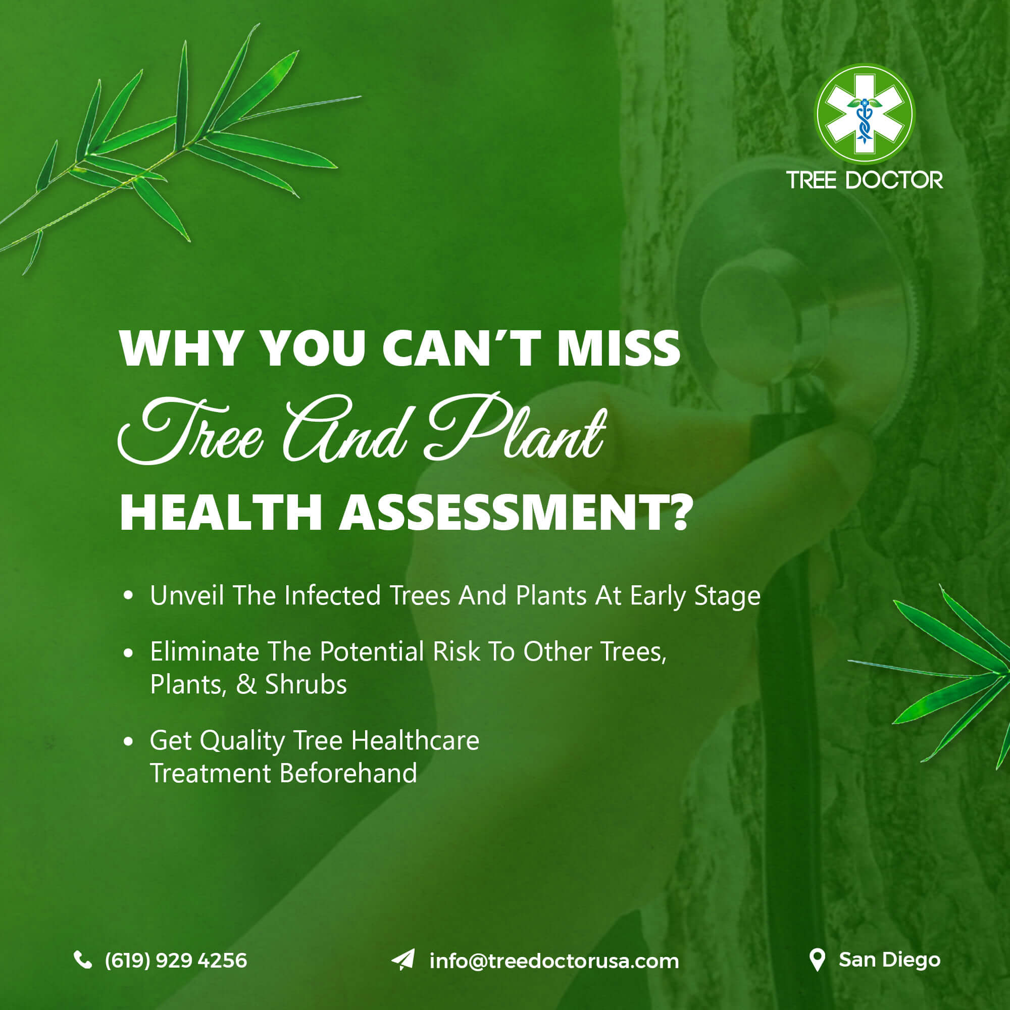 Tree Doctor - Explore The Plant-Powered World