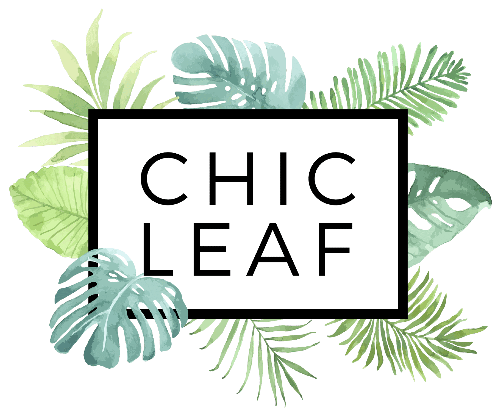 Chic Leaf - Explore The Plant-Powered World